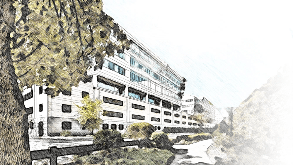 The Story of Madrigal Pharmaceuticals and Its Breakthrough Drug ...